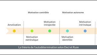 La théorie de l'autodétermination dans le monde du travail | My Mooc