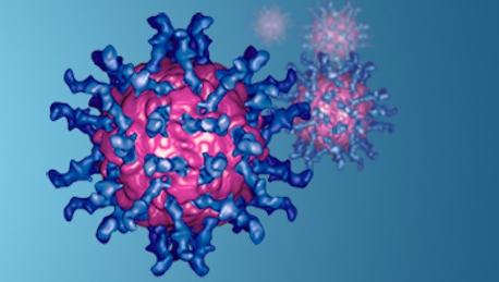Virology I: How Viruses Work | My Mooc