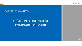Création d'une nature comptable primaire | My Mooc